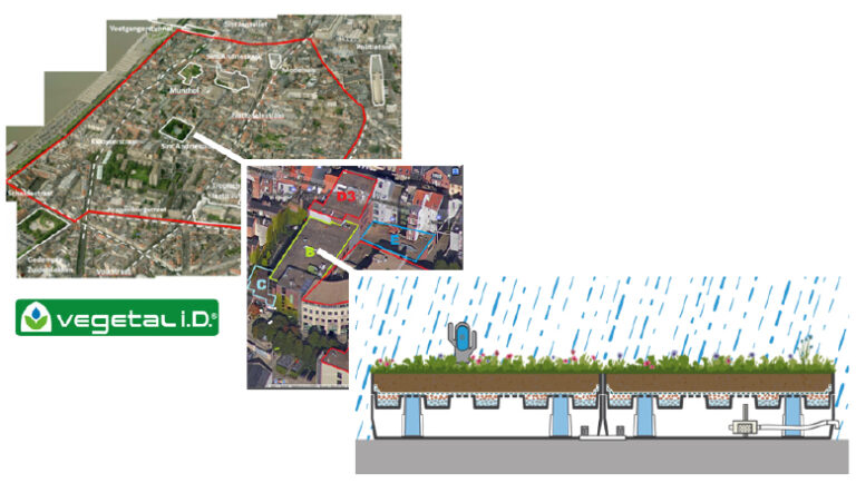 Climate Innovation Window - Smart blue-green roof system